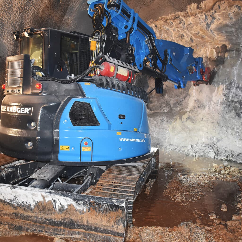 Blue Badger - Wimmer International